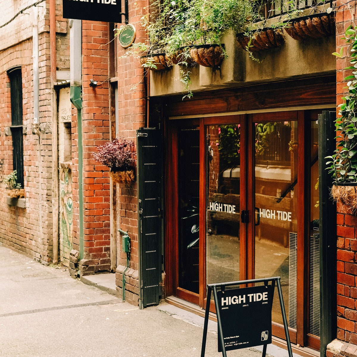 Top 10 Storefront Signs to Boost Curb Appeal (2026) – George and Willy