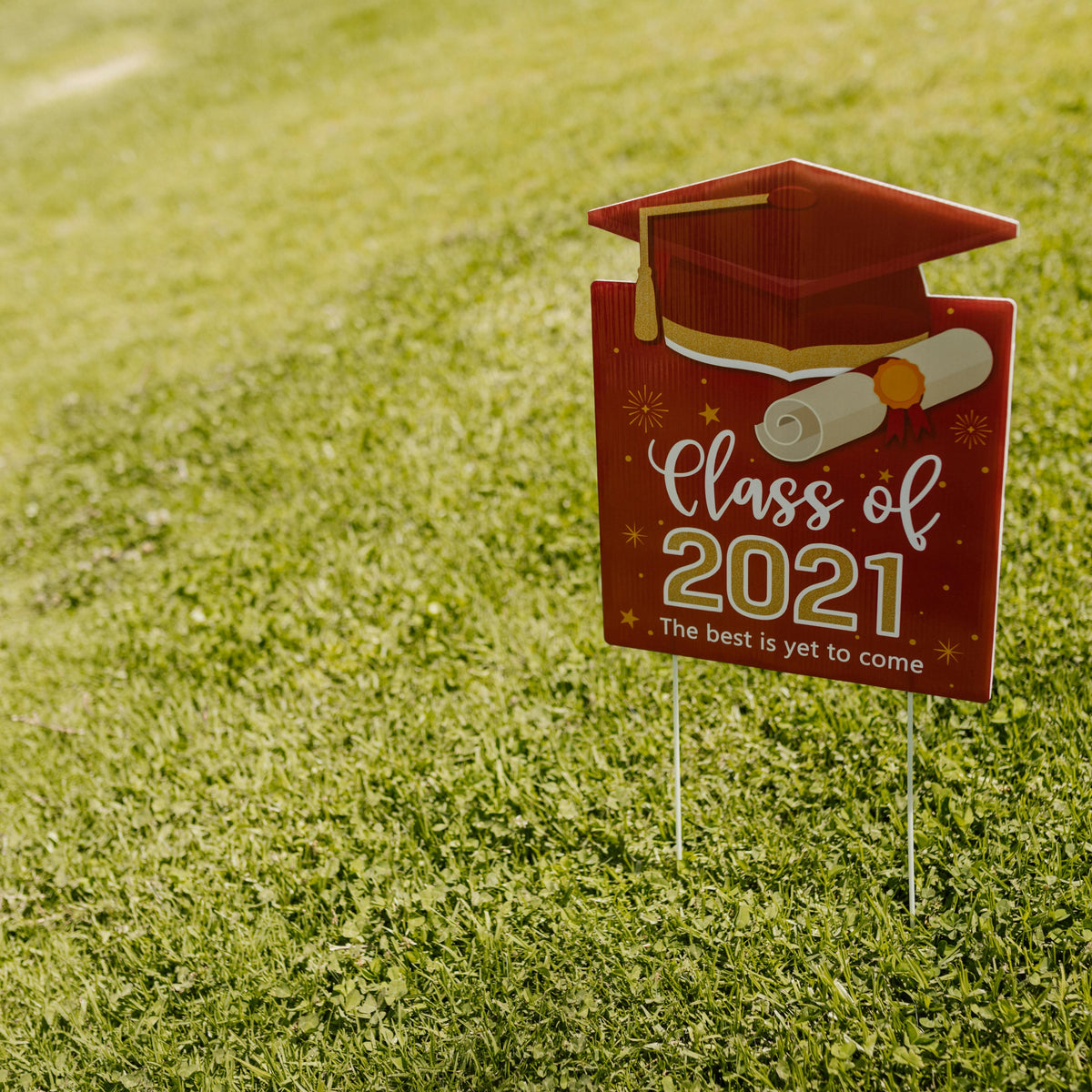 Best Lawn Signs: Top 10 Picks for Curb Appeal (2025) – George and Willy