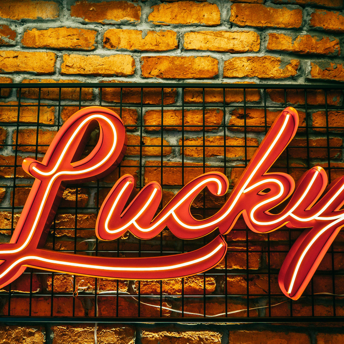 Indoor Wall Signs: Types, Materials & Design Tips (2026) – George and Willy
