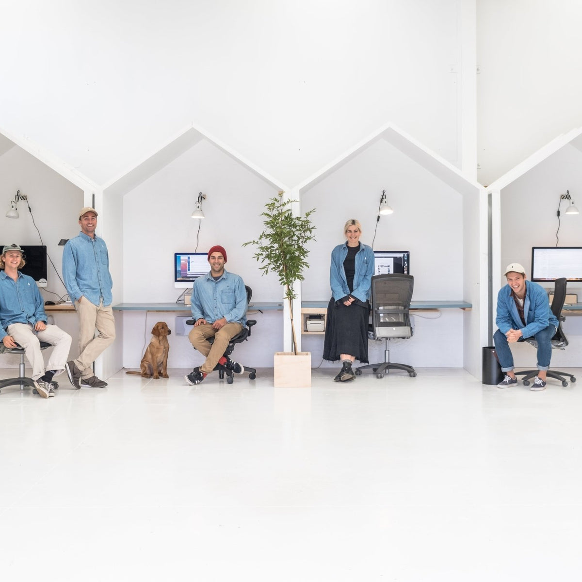 A Minimalistic Design Studio – George and Willy